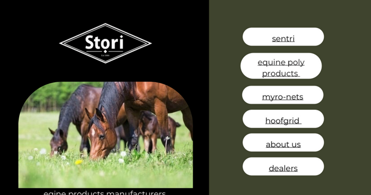 Website stori